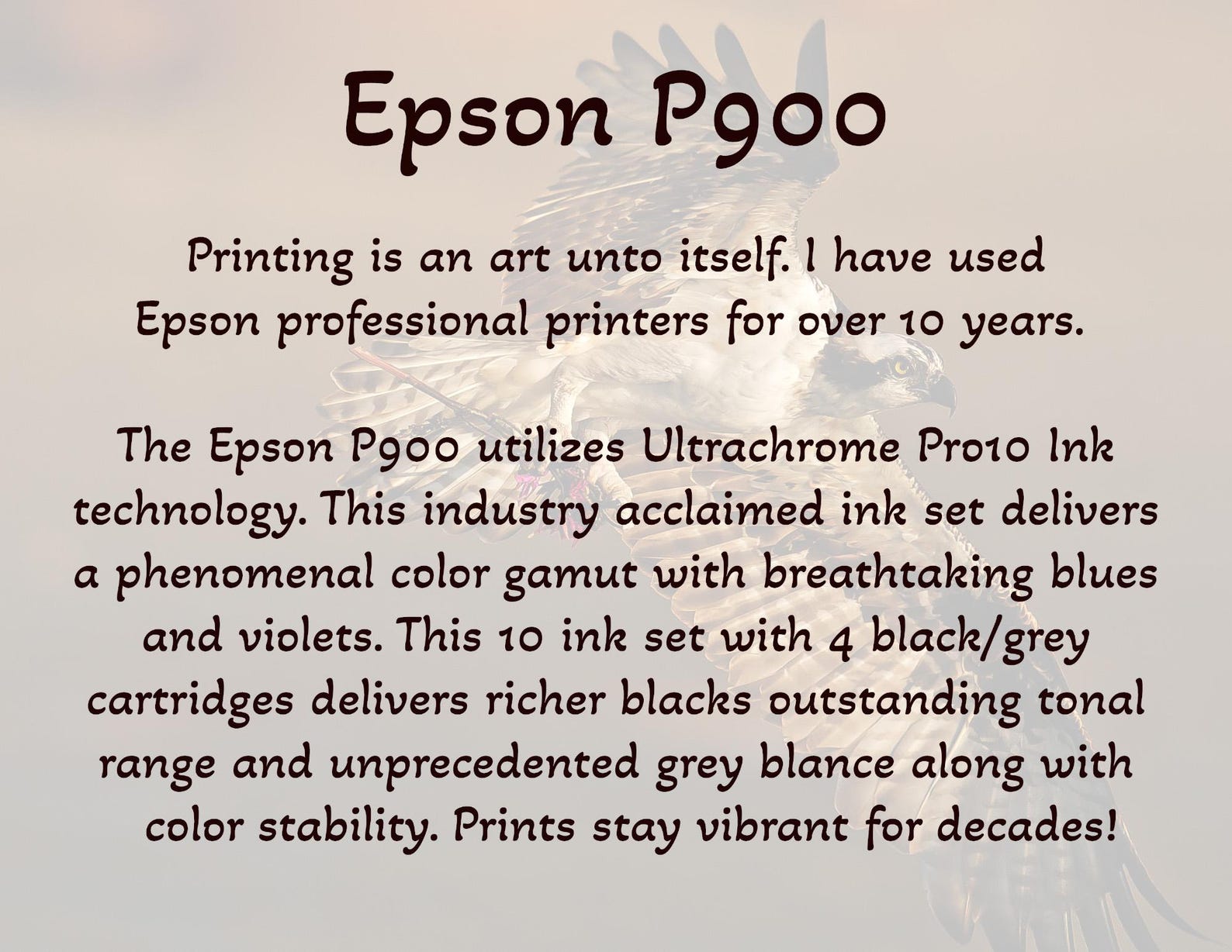 Yellow-crowned Night Heron in Six Mile Cypress Slough Preserve Florida ...