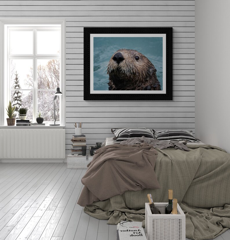 Sea Otter Coming up to Say Hello Wildlife Print Wall Art - Etsy
