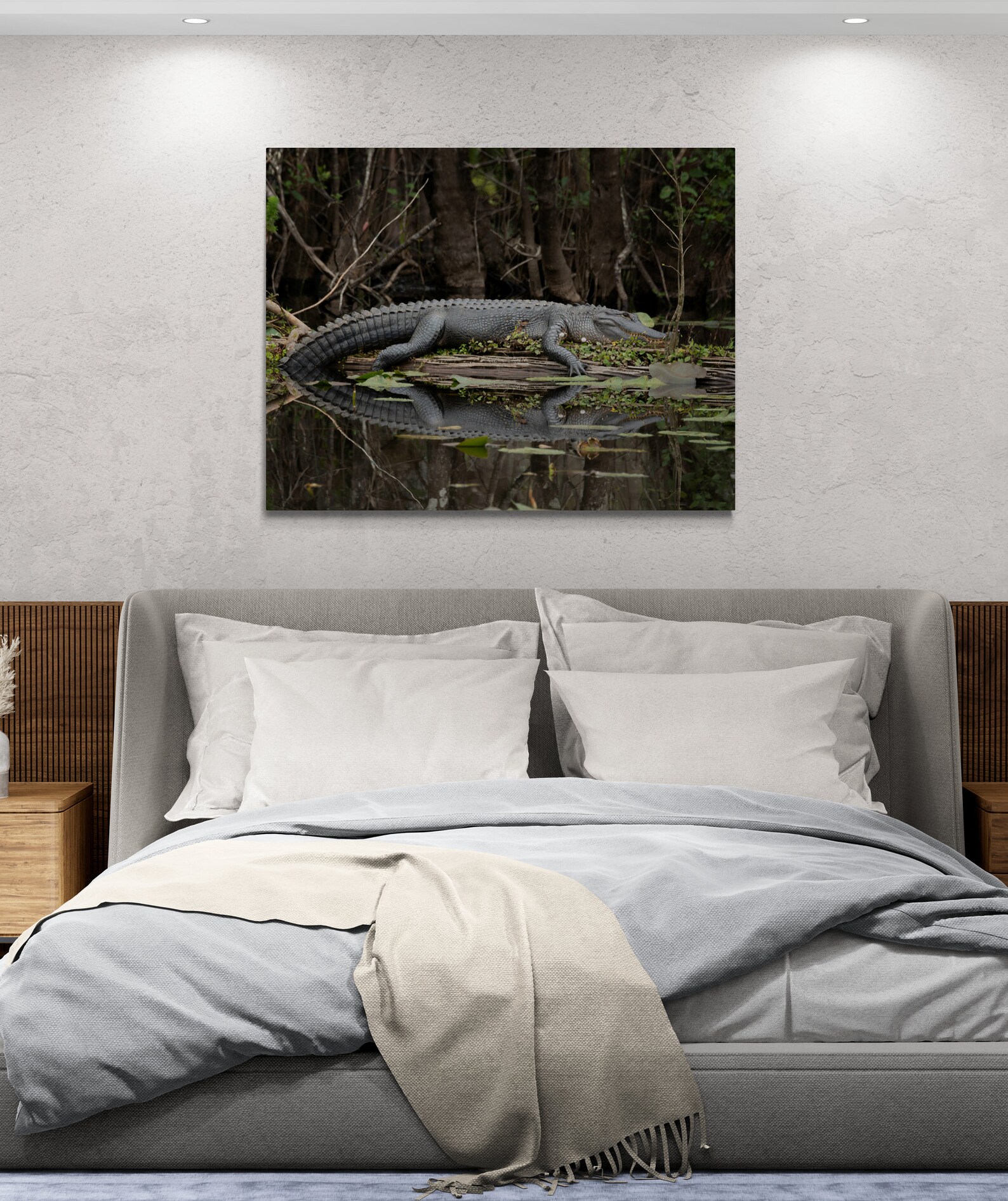 American Alligator at Six Mile Cypress Slough Preserve: Reptile Decor ...