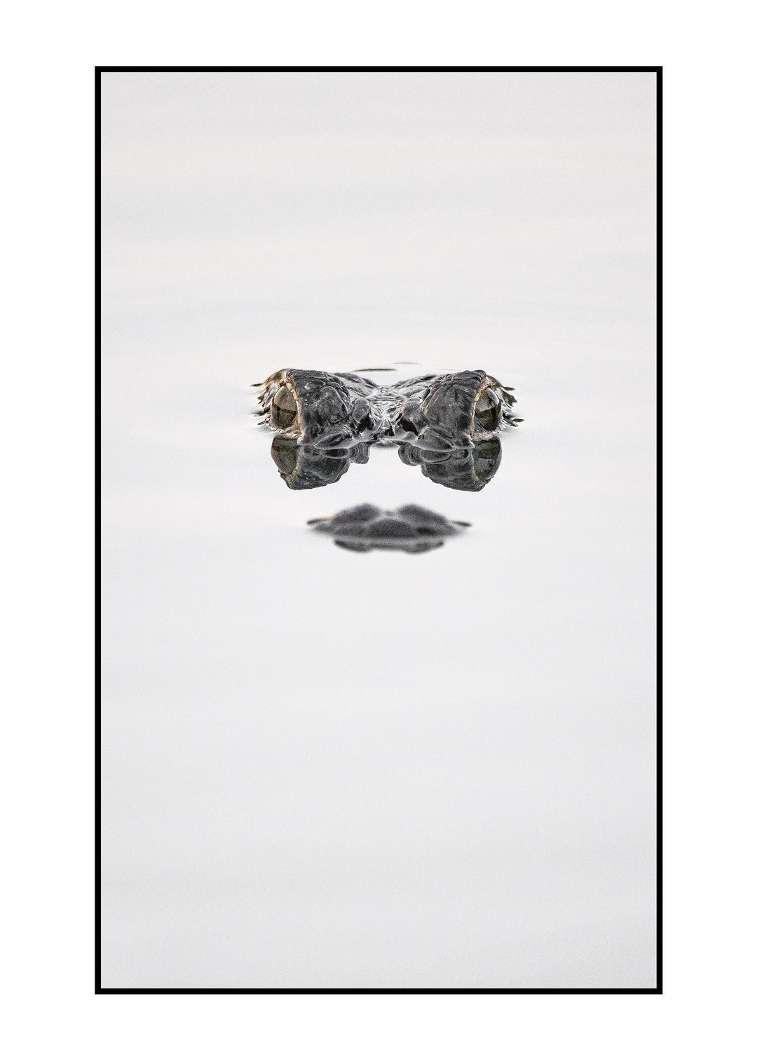 Alligator Note Card With Wildlife Artwork That Can Be Personalized or ...