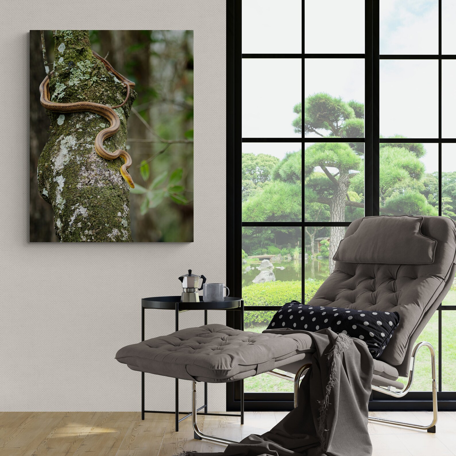 Yellow Rat Snake in Six Mile Cypress Slough Preserve Fort Myers Reptile ...