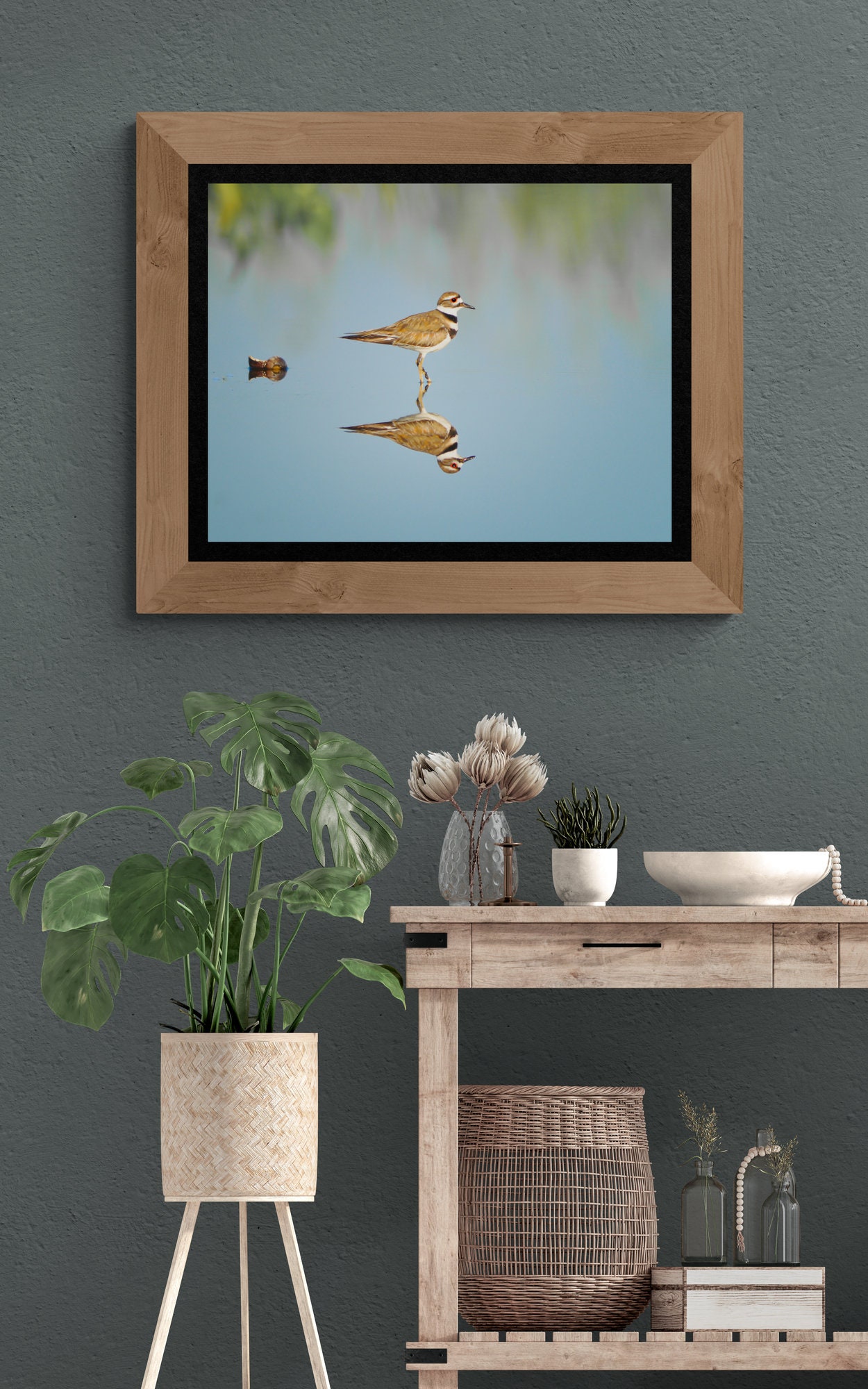 Killdeer Florida Shore Bird Photo Wildlife Artwork - Etsy