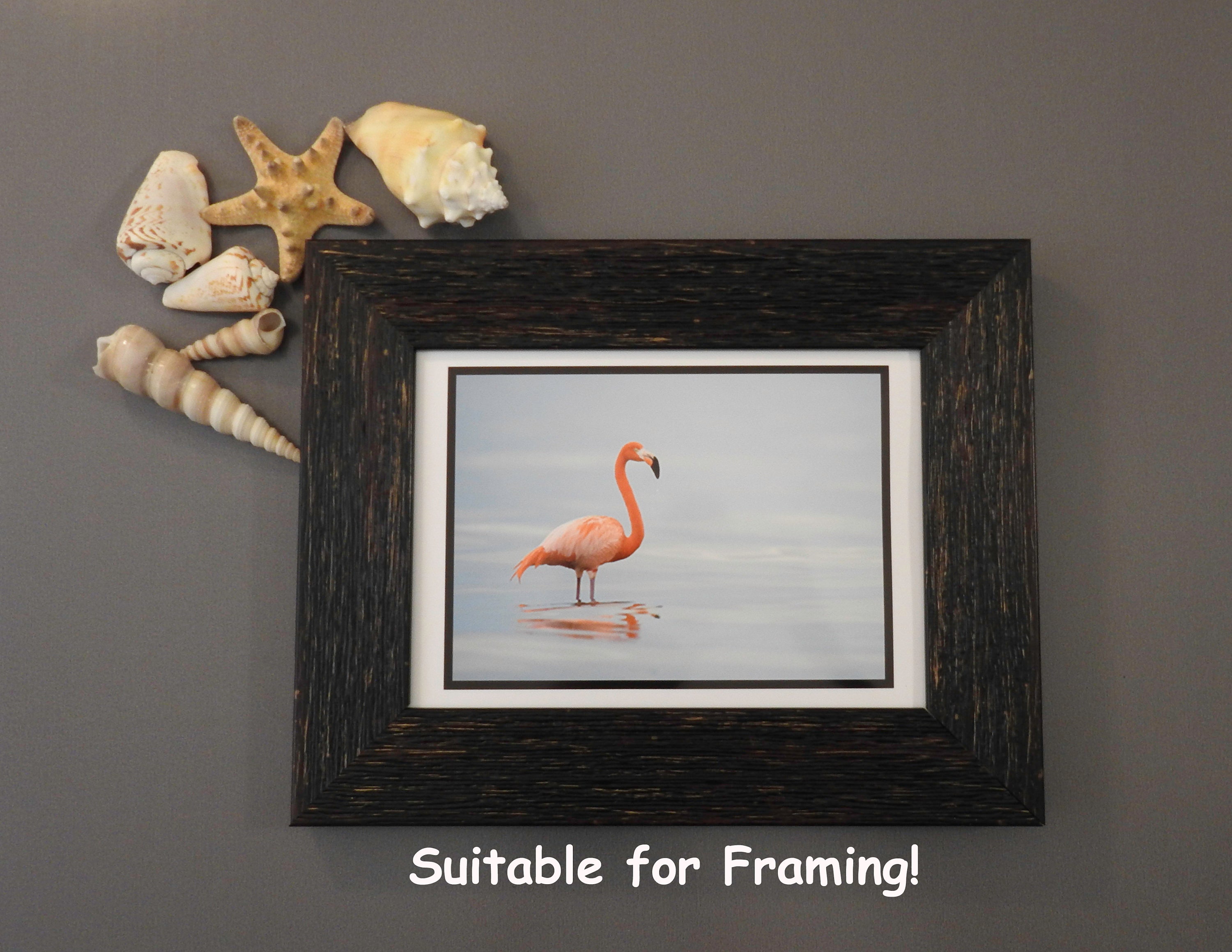 Flamingo Note Card Wildlife Artwork Nature Greeting Card - Etsy