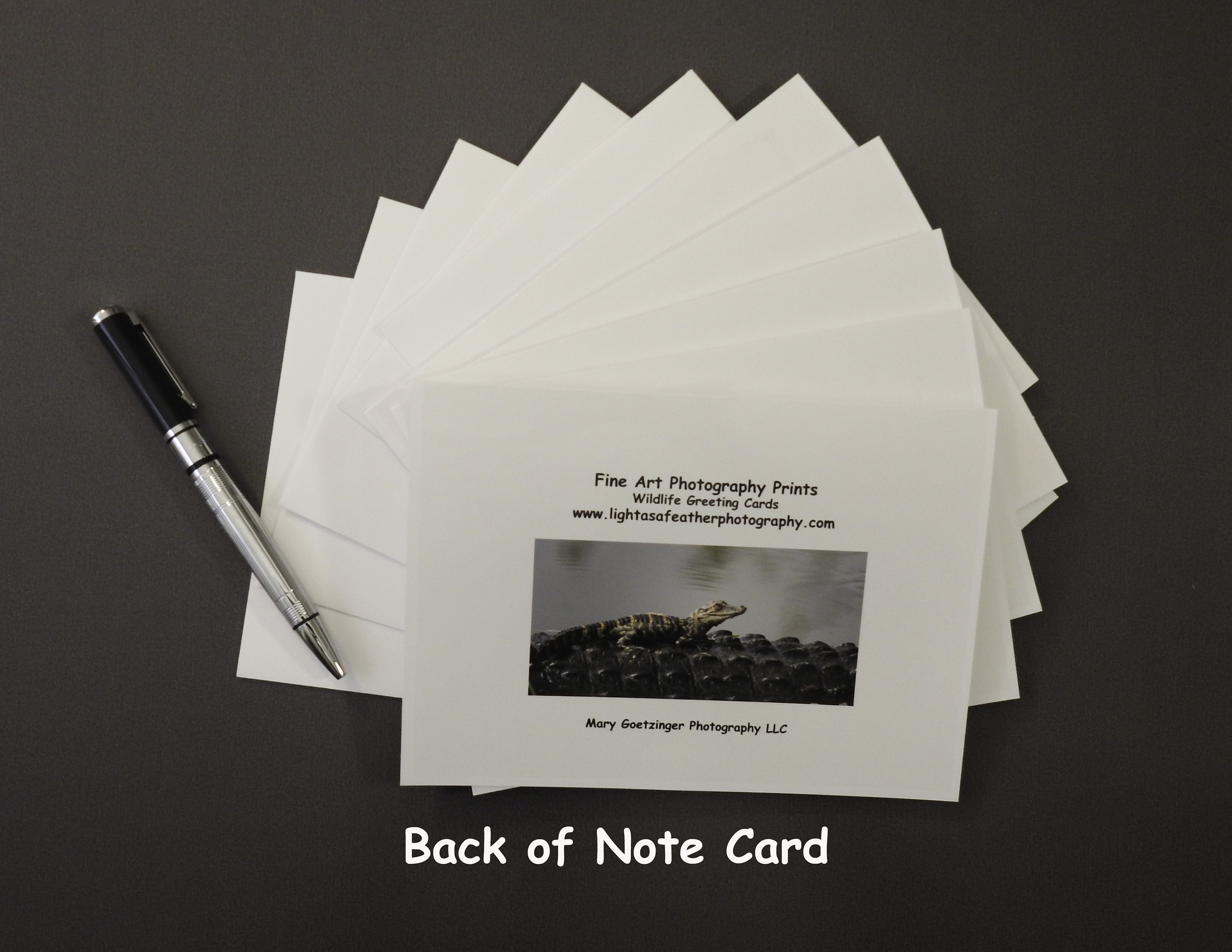 Flamingo Note Card Wildlife Artwork Nature Greeting Card - Etsy