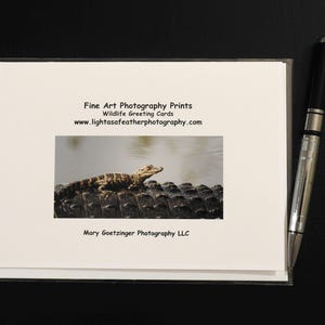 Black-bellied Whistling Duck Note Card: Wildlife Art, Personalized - Etsy