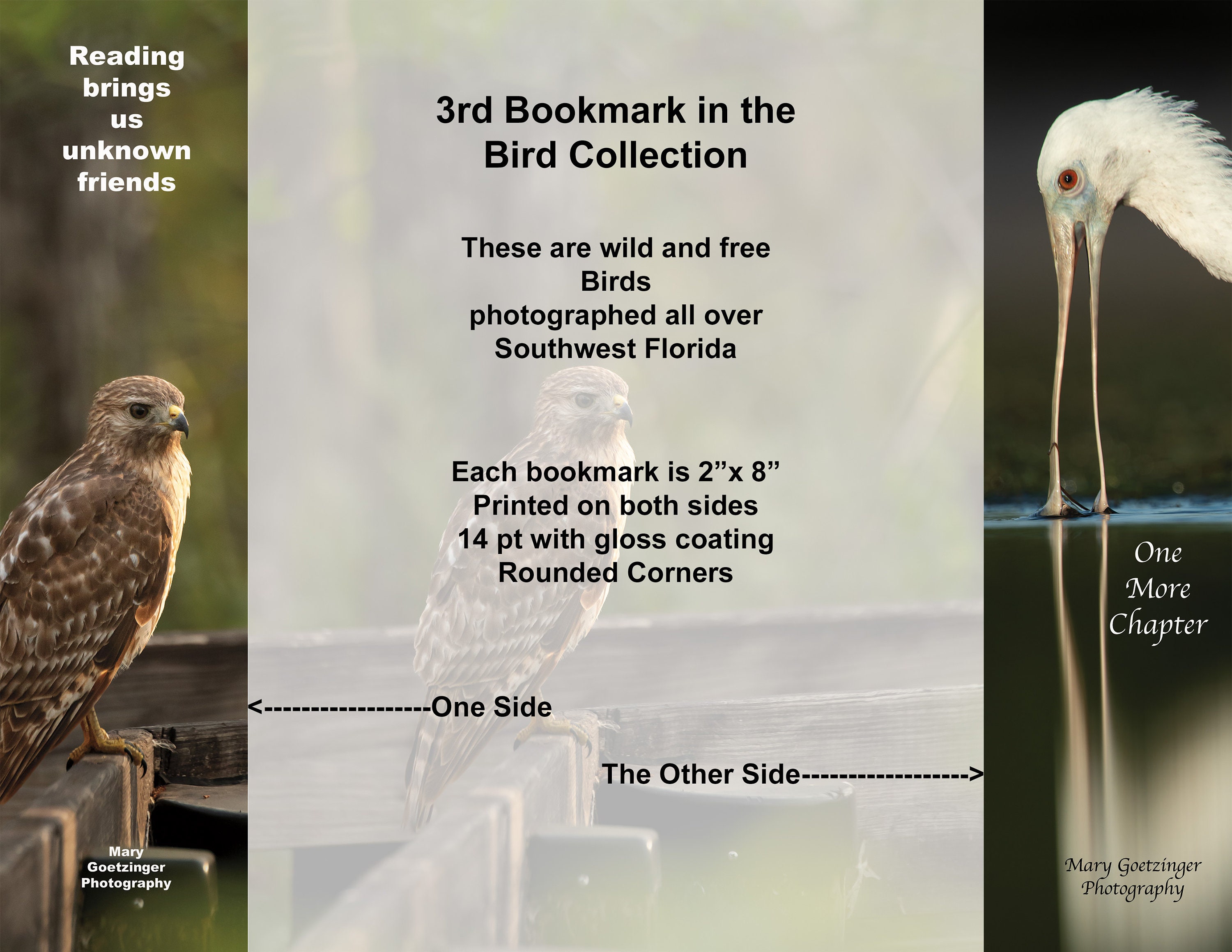 Bird Bookmark Set Great Gift Five Cute and Funny Bird Bookmarks for Any ...