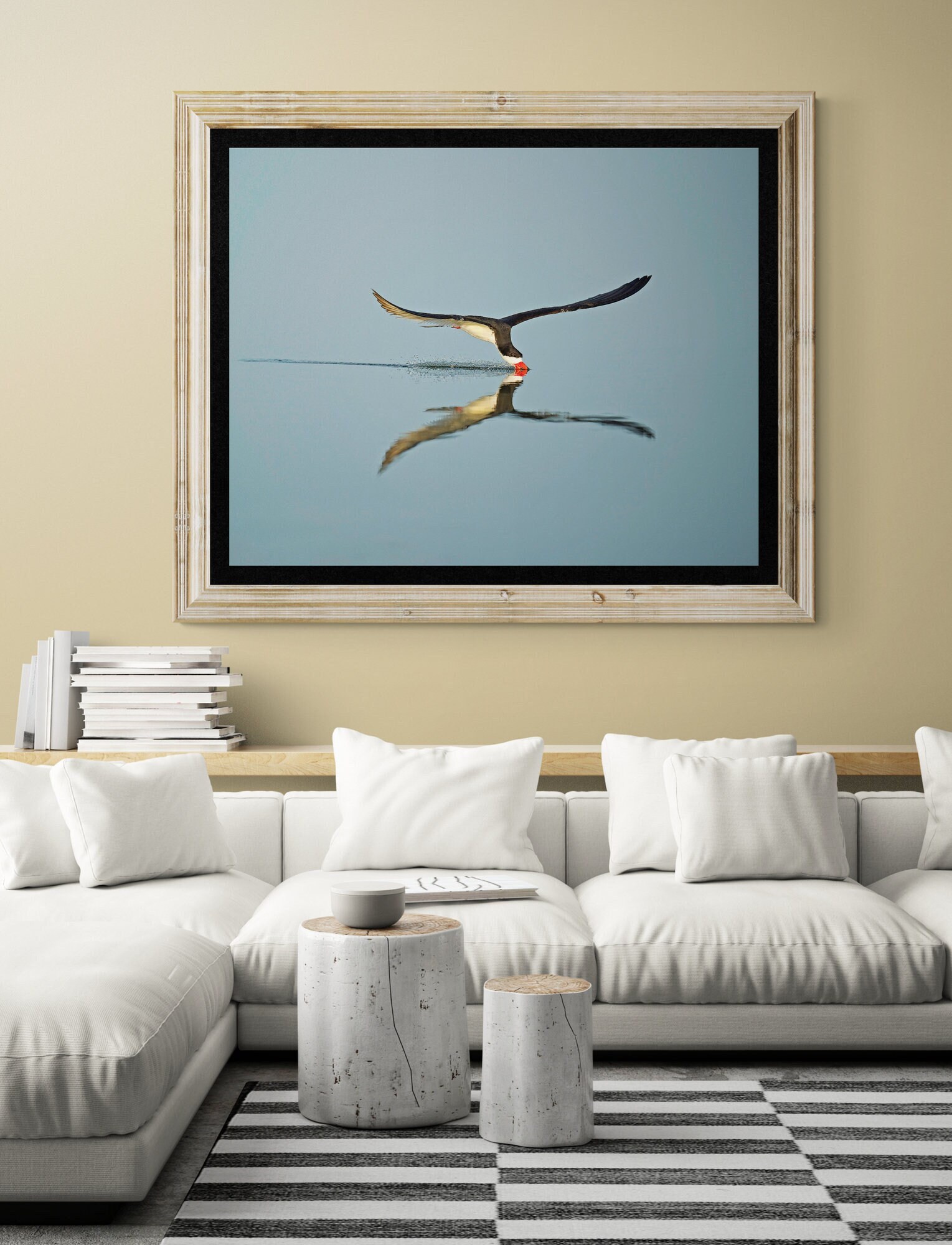 Black Skimmer Skimming Bird in Flight Florida Nature Bird Wildlife ...