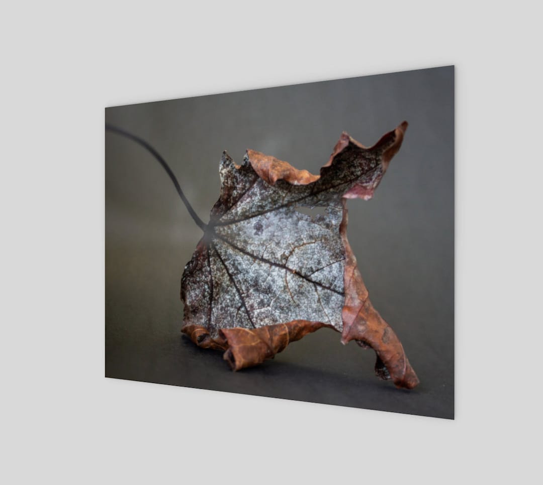 Fallen Ashes Art Print 10x8 - Etsy