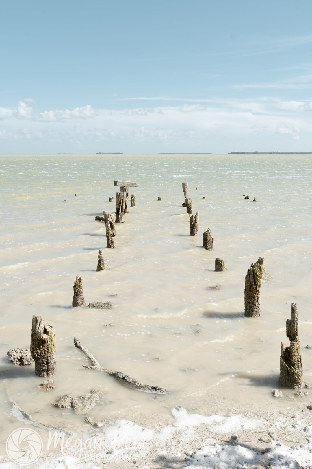 Ocean Photography Everglades Printable Wall Art - Etsy
