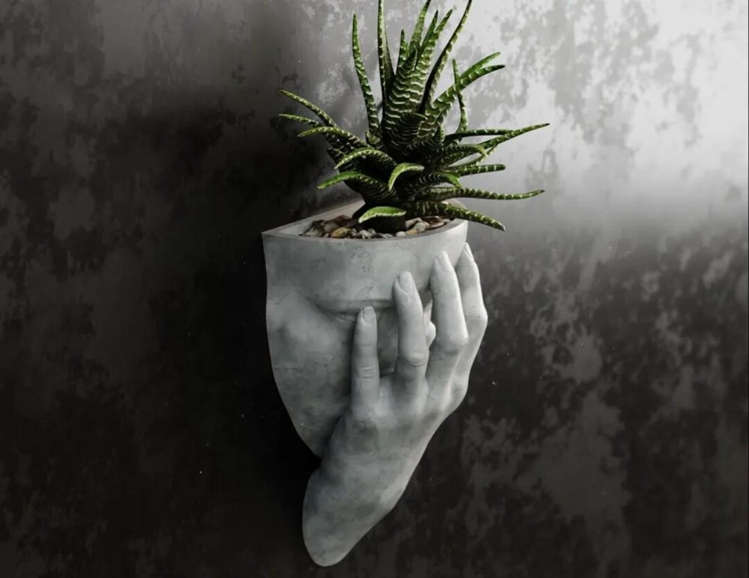 Wall Mounted Plant Pot - Face - Eco Friendly - Etsy