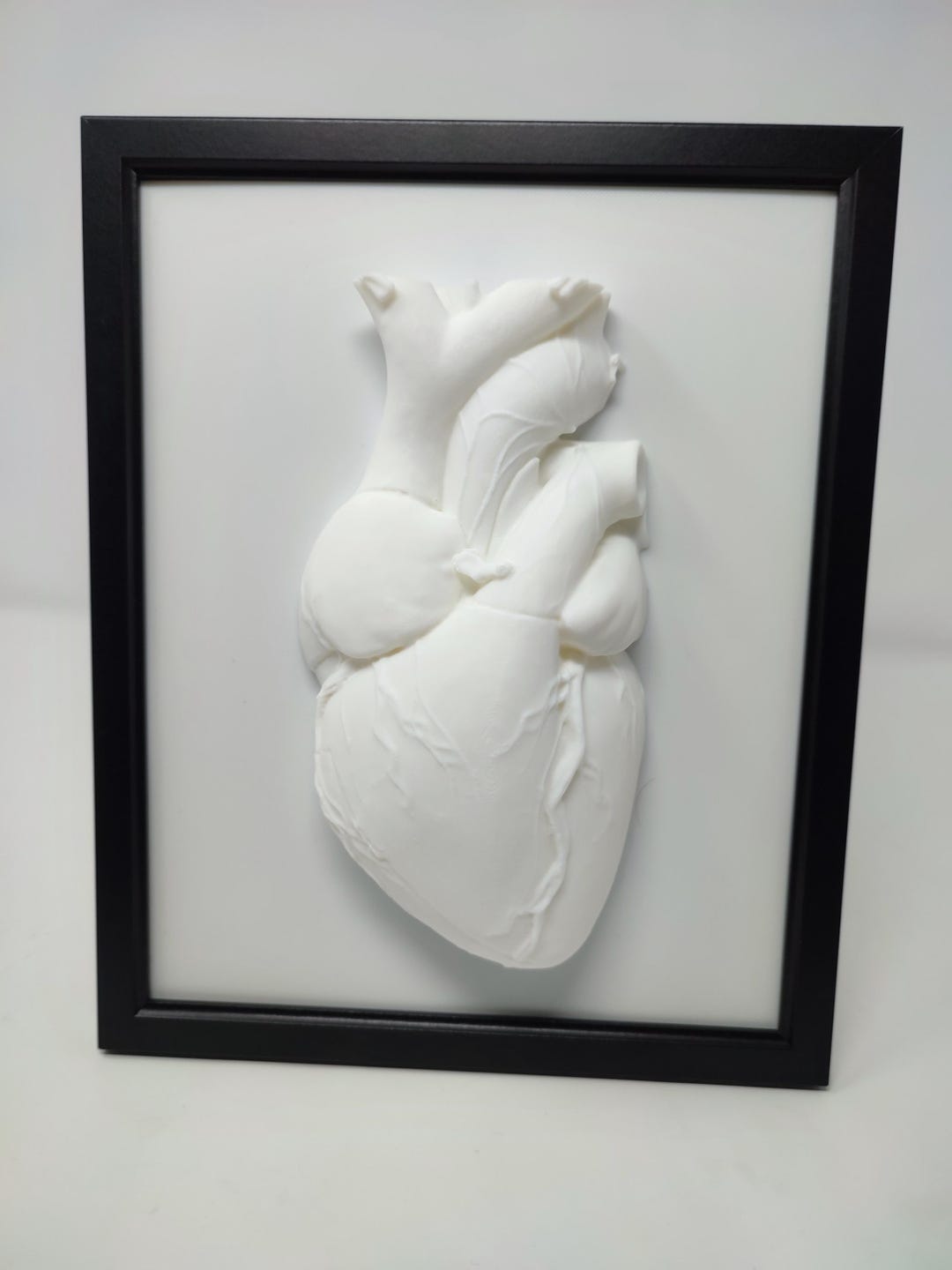 Framed Anatomical Heart Sculpture, Statue 10''x8'', 25cmx20cm - Etsy