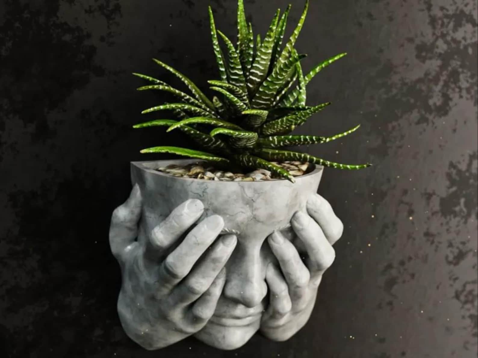 Wall Mounted Plant Pot - Face - Eco Friendly - Etsy