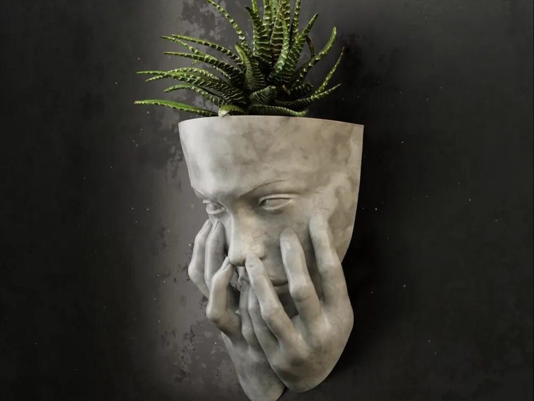 Wall Mounted Plant Pot - Sad Face - Eco Friendly - Etsy