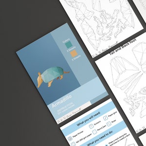Papercraft Armadillo Model, Create Your Own 3D Papercraft Model, 3D ...