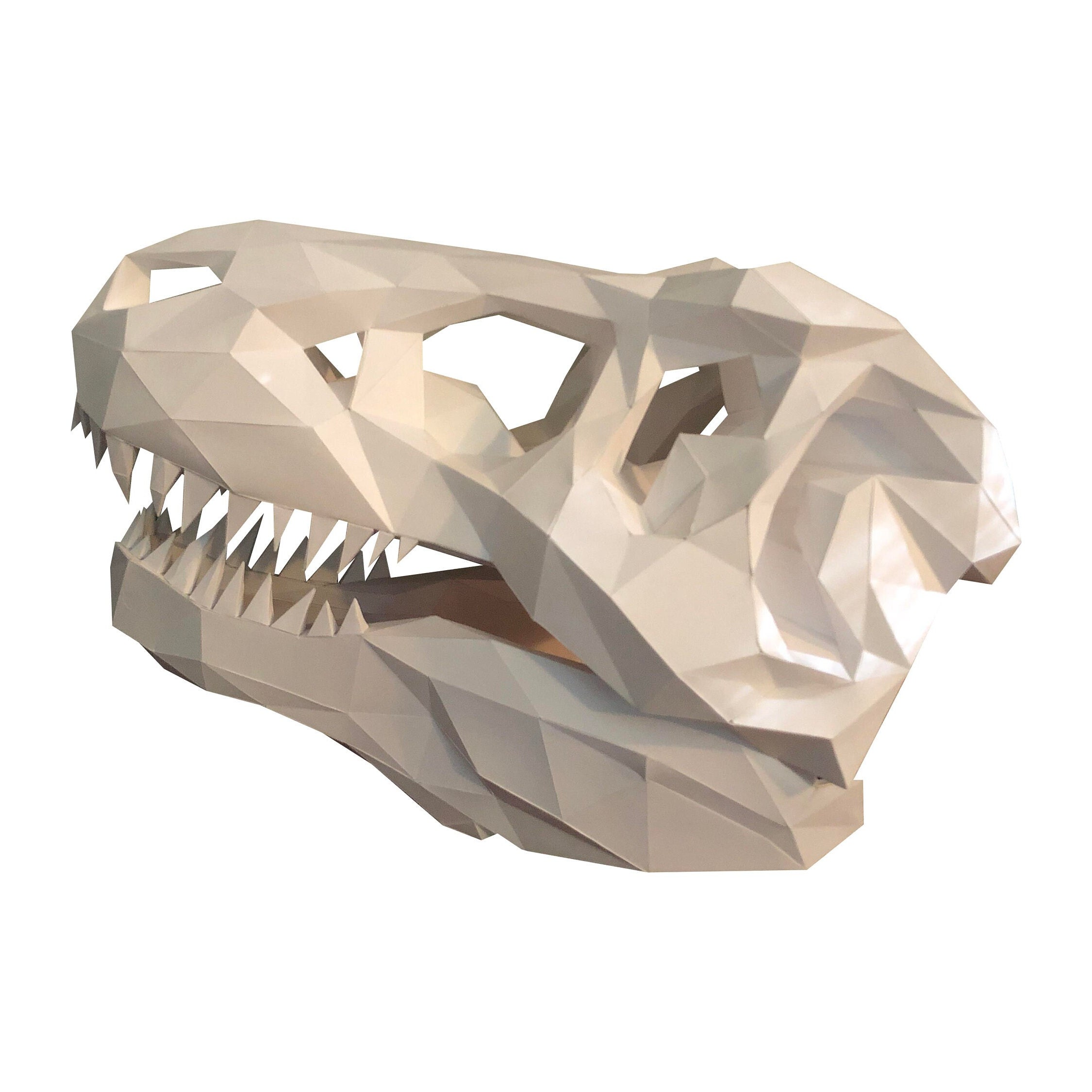 Papercraft T-rex Skull Model Create Your Own 3D Papercraft - Etsy