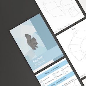 Squirrel Model, Create Your Own 3D Papercraft Squirrel, Origami ...