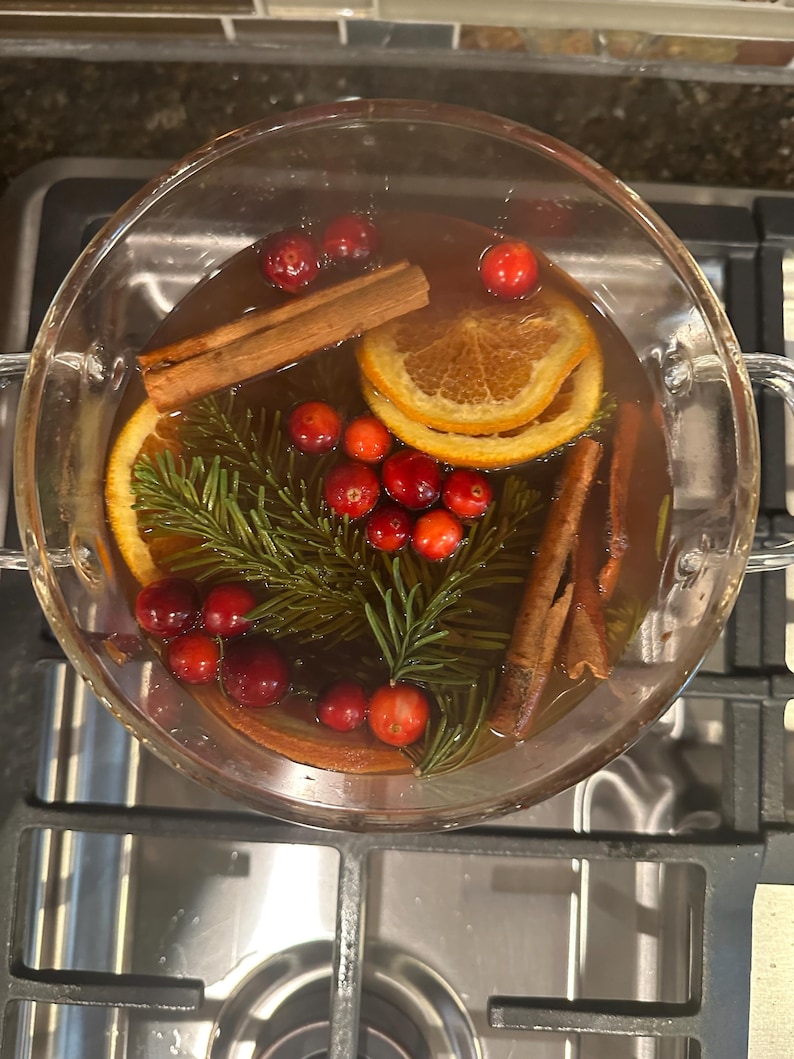 Holiday Stovetop Potpourri Simmer Kit | Cranberry, Orange & Cinnamon ...
