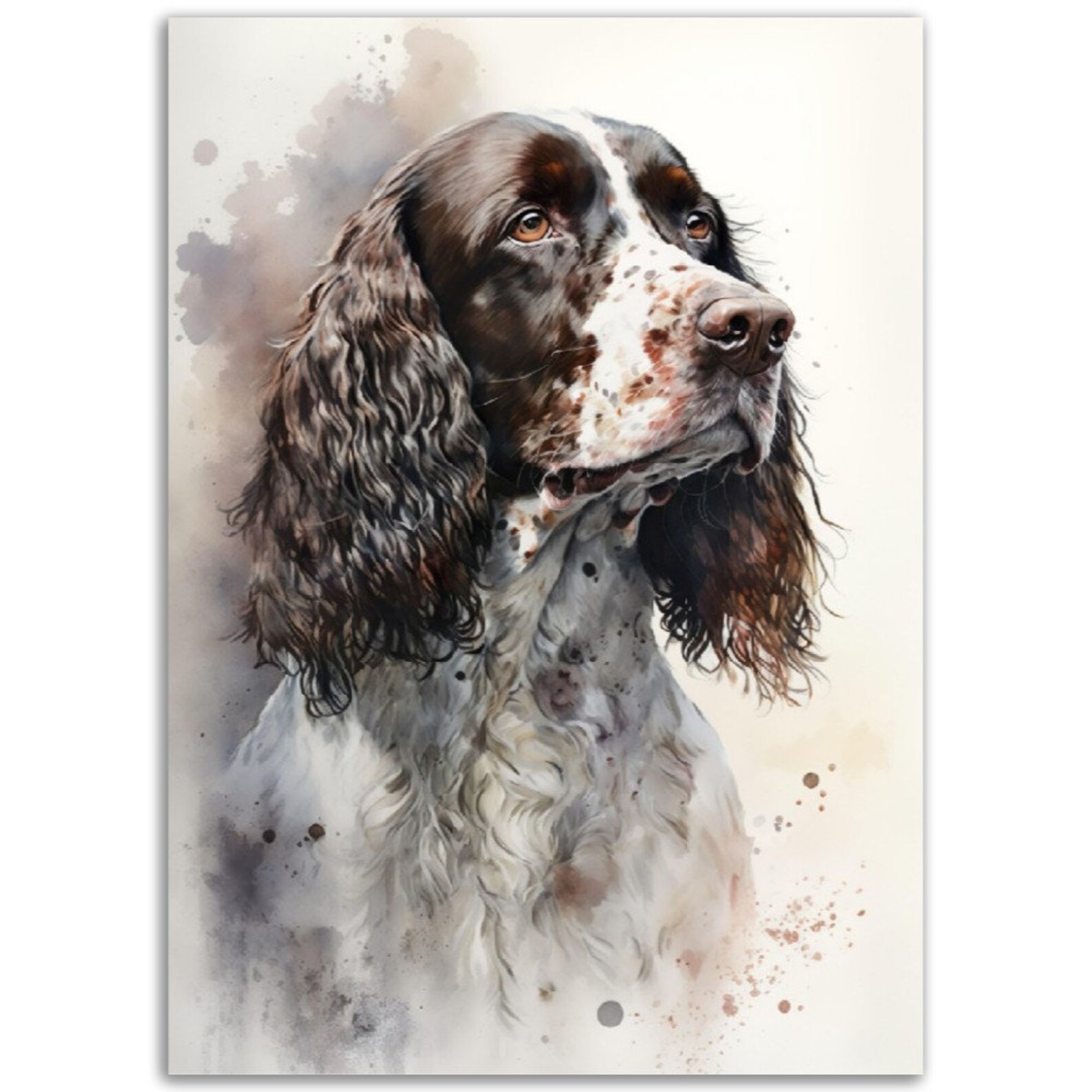 Springer Spaniel, Contemporary Watercolour Painting Print. Springer ...