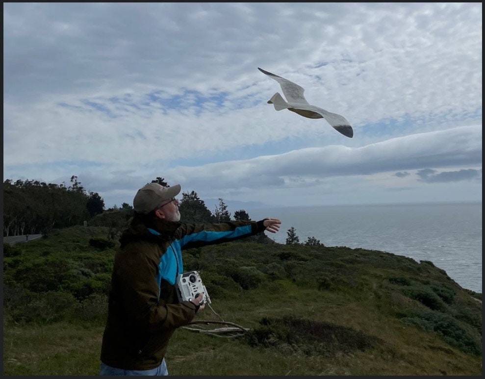 Plane Print Seagull Glider Kit 1500mm - Etsy