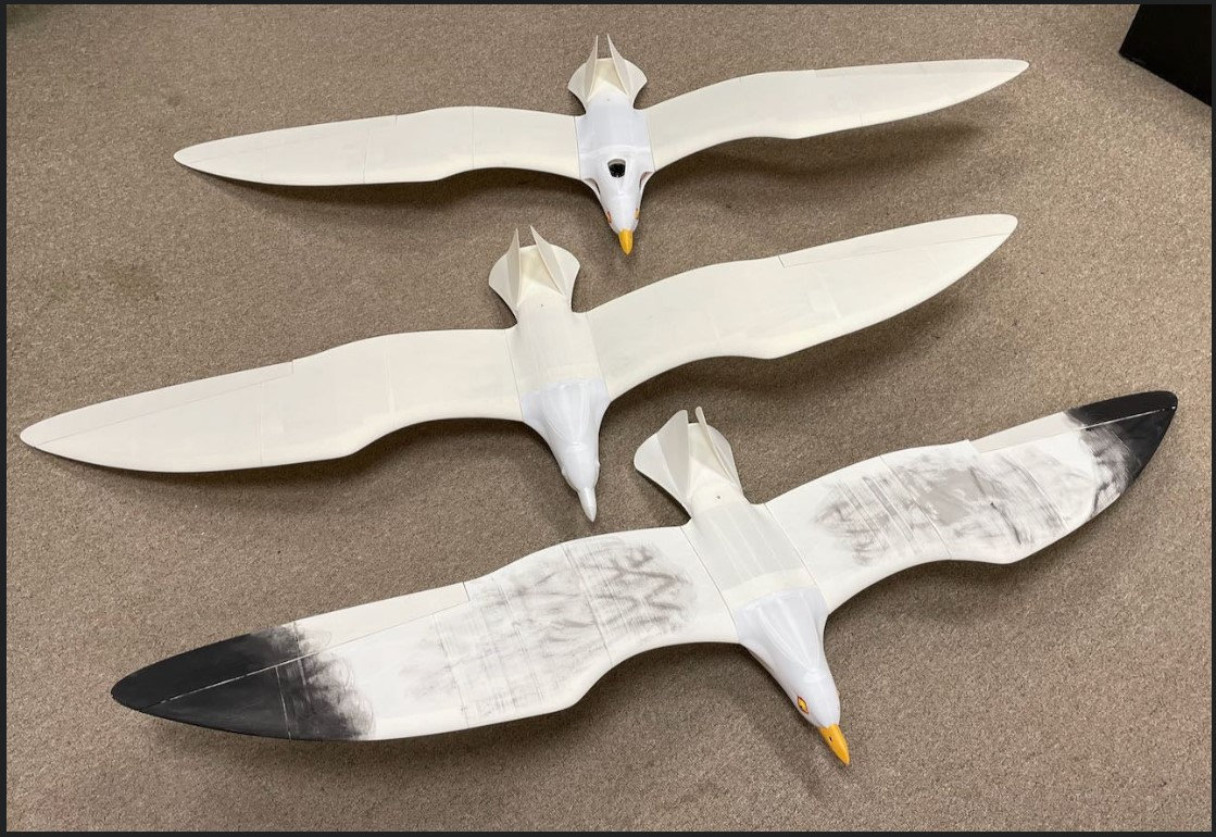 Plane Print Seagull Glider Kit 1500mm - Etsy