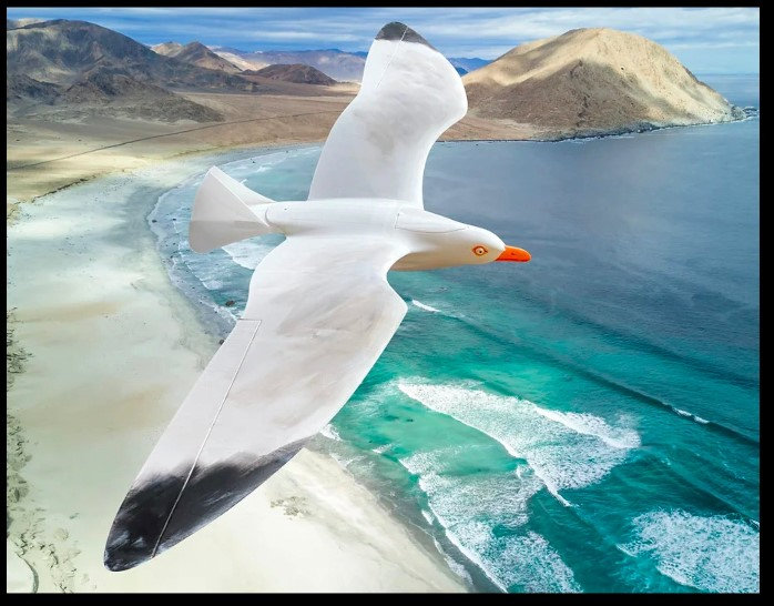 Plane Print Seagull Glider Kit 1500mm - Etsy