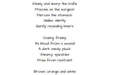 Poem, Poetry, Haggis, Scottish Theme, Rabbie Burns, Burns Supper, Toast ...