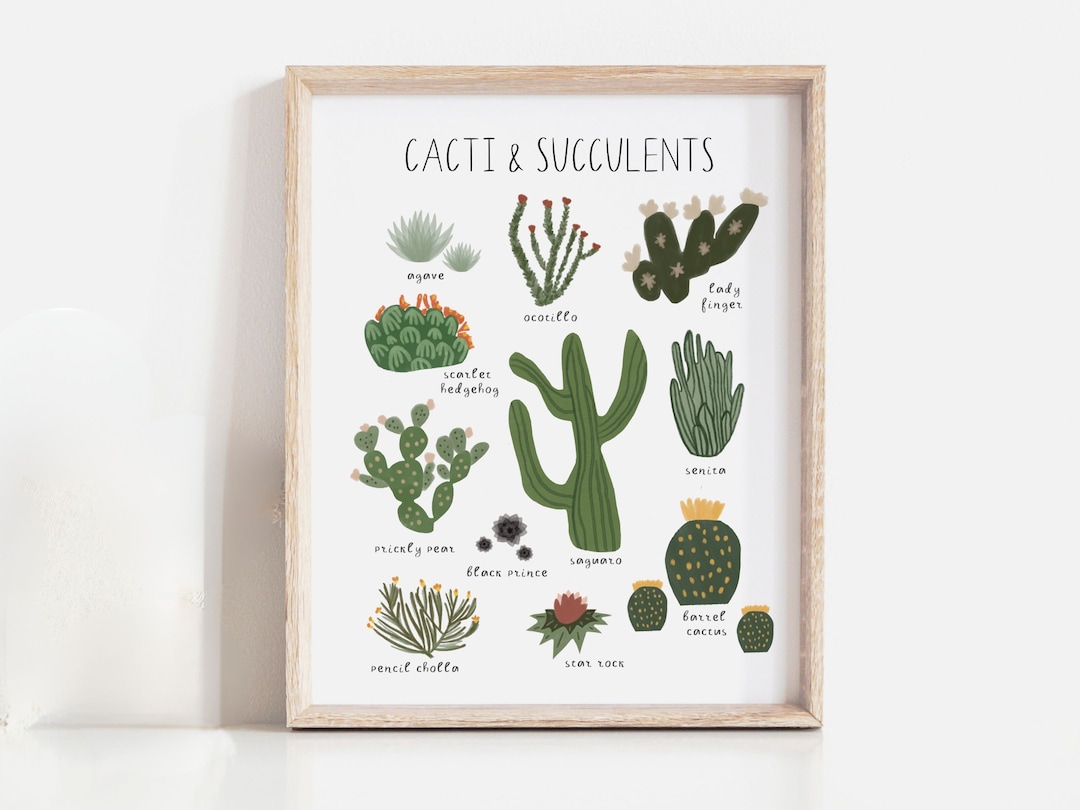 Boho Nursery Cactus Poster, Desert Nursery Decor, Kids Cacti and ...