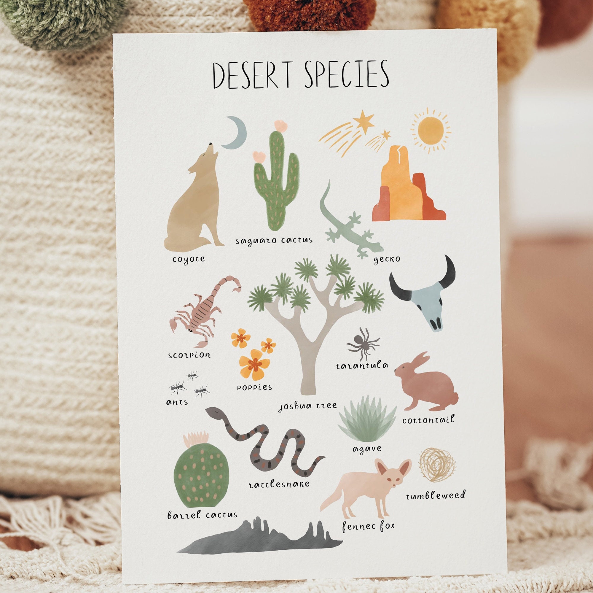 Boho Desert Print Cactus Nursery Decor Southwestern Wall - Etsy