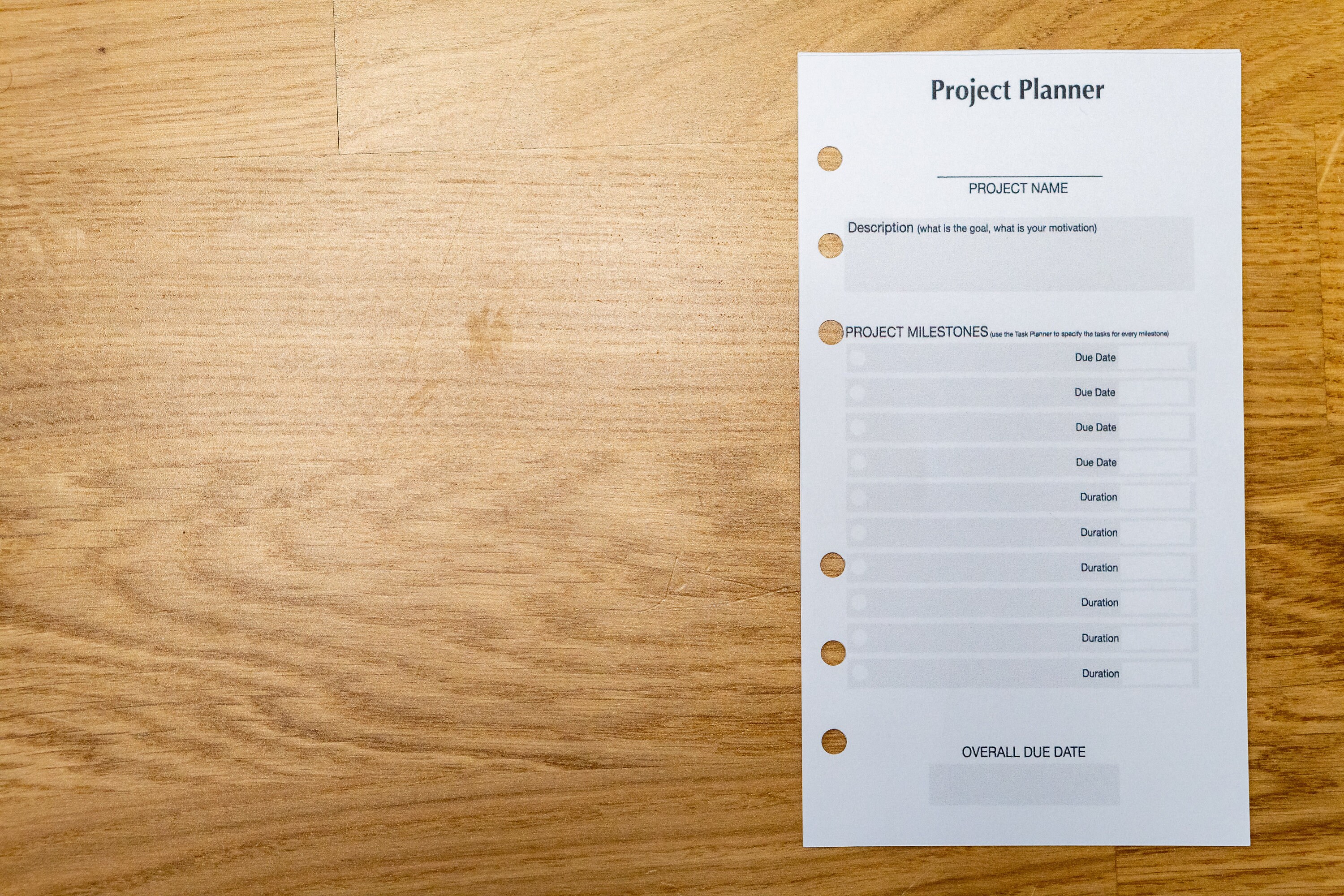 Project Planner Sheet for Personal Planners to Print Out One - Etsy
