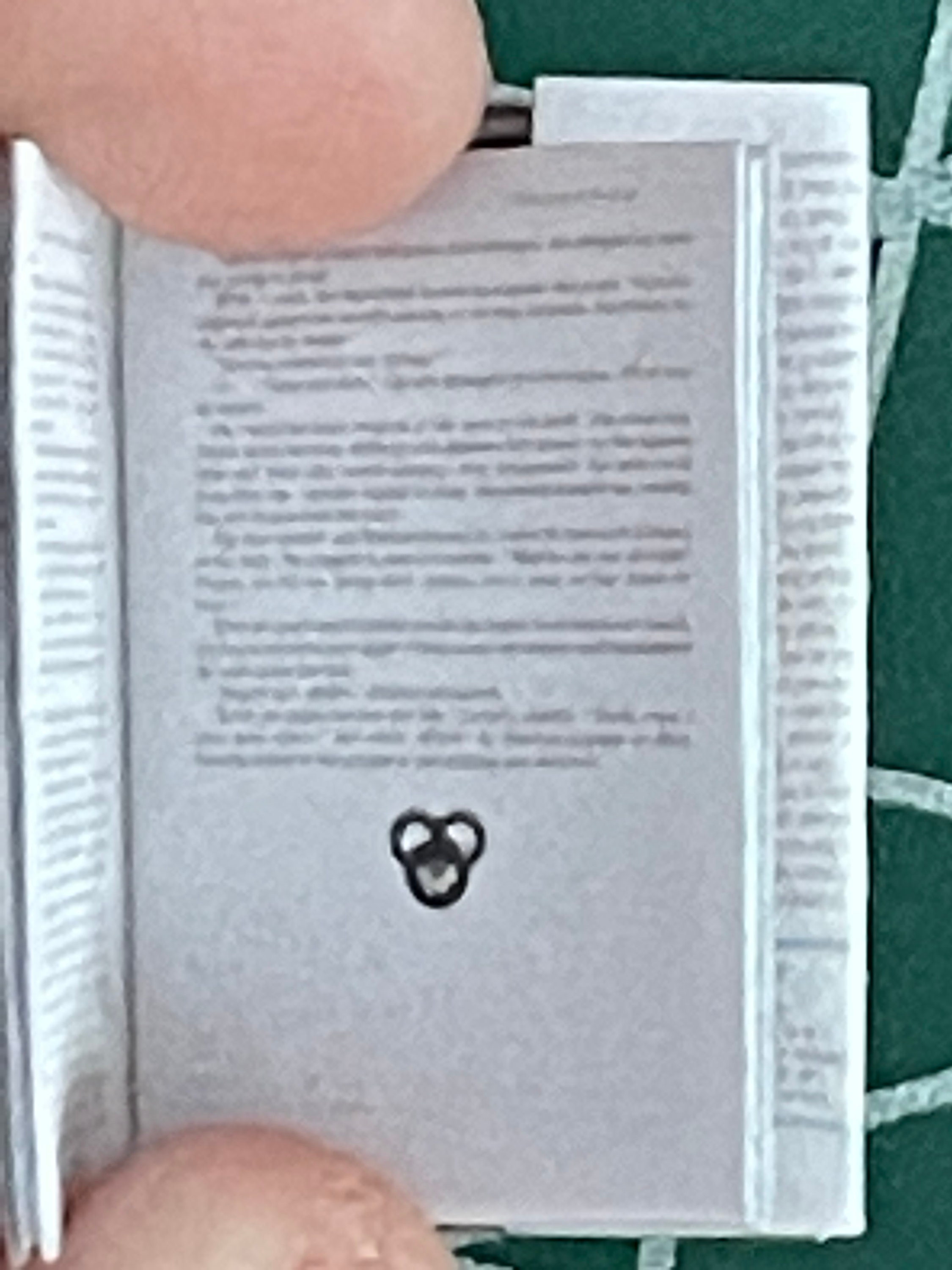 Miniature the Dragon Reborn Book 3 WOT With Inside Pages. 1:12 - Etsy