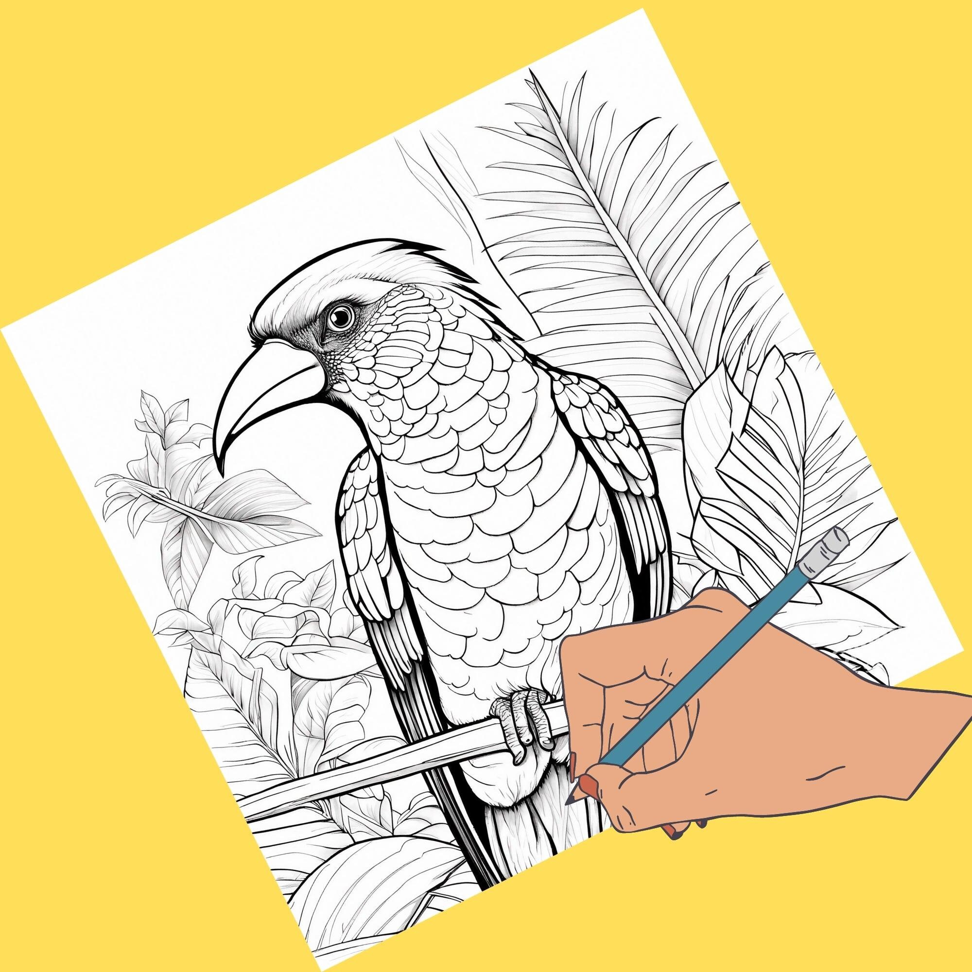 Bird Coloring Pages Racing Car Coloring Sheets Christmas - Etsy