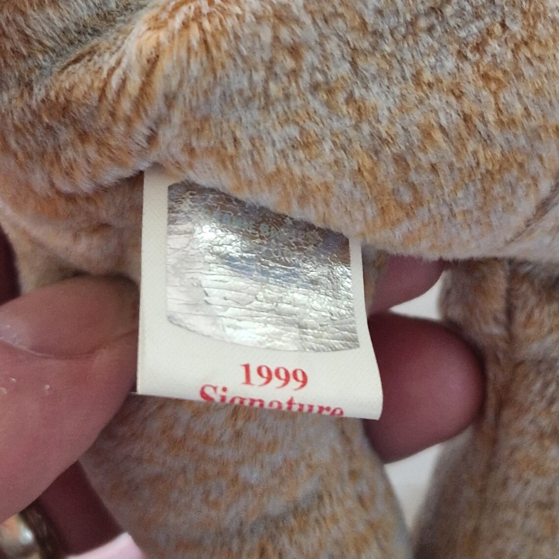 Rare 1999 Signature Ty Beanie Baby Bear - Etsy