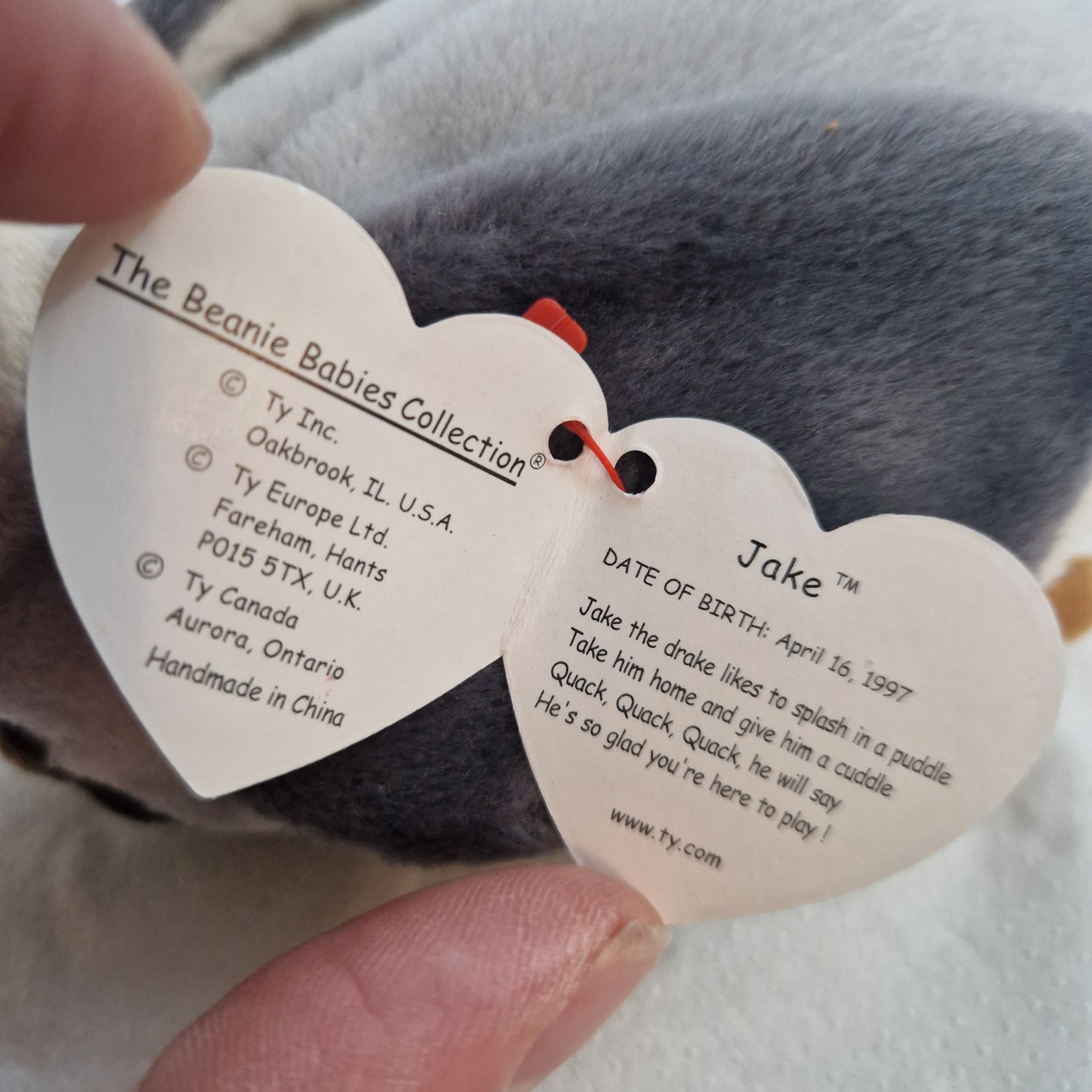 RARE JAKE the Mallard Duck TY Beanie Baby - Etsy