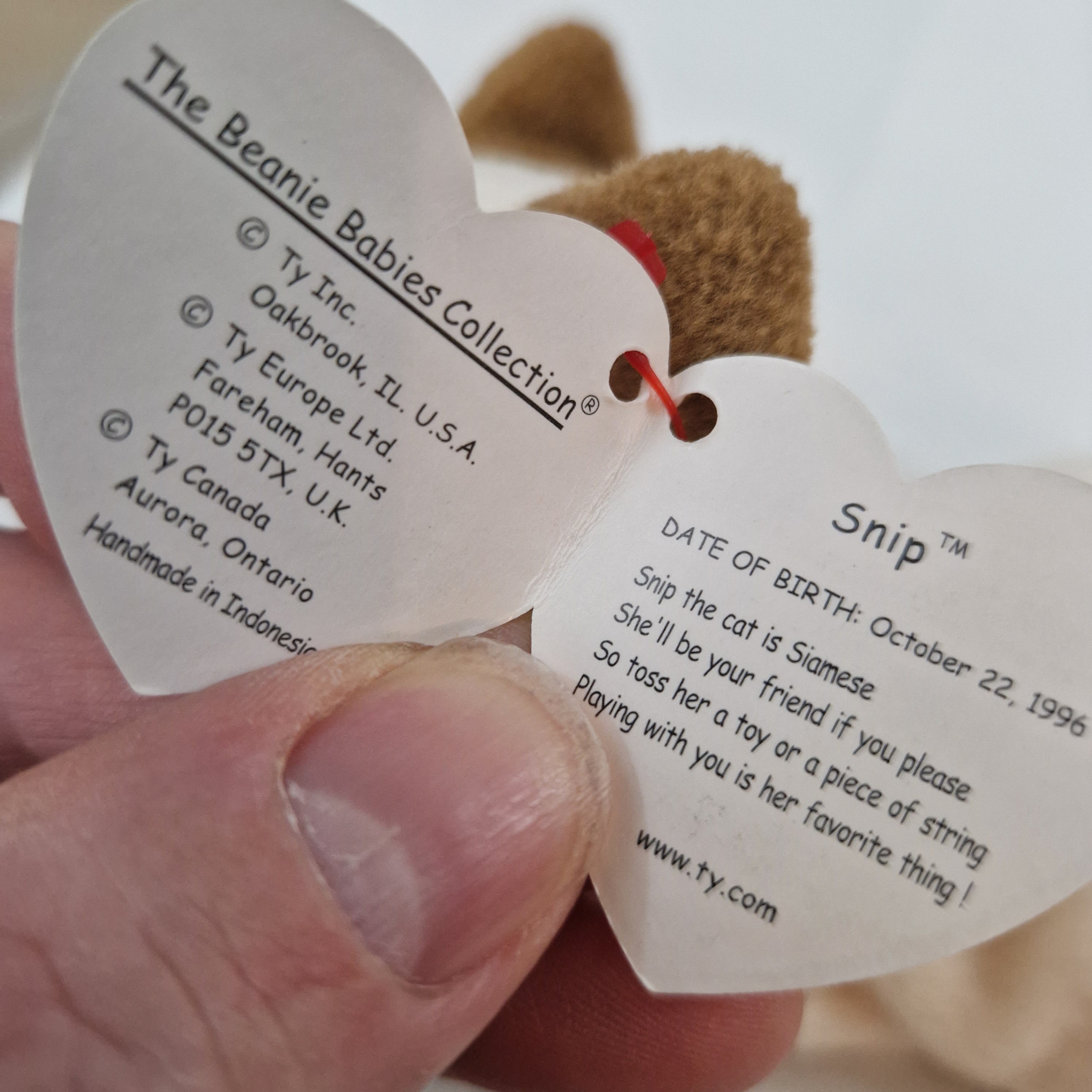 RARE SNIP the Cat Ty Beanie Baby - Etsy UK