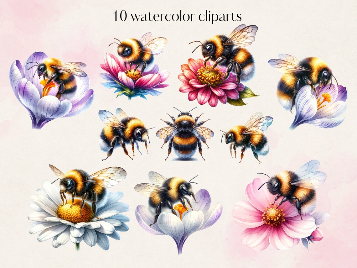 10 Watercolor Bumble Bee Clipart PNG Bumble Bee Spring Clipart Bumble ...