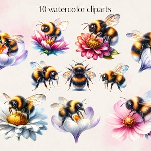 10 Watercolor Bumble Bee Clipart PNG Bumble Bee Spring Clipart Bumble ...