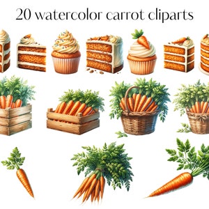 20 Watercolor Carrot Clipart PNG Cute Bunny Clipart Carrot Cake Clipart ...