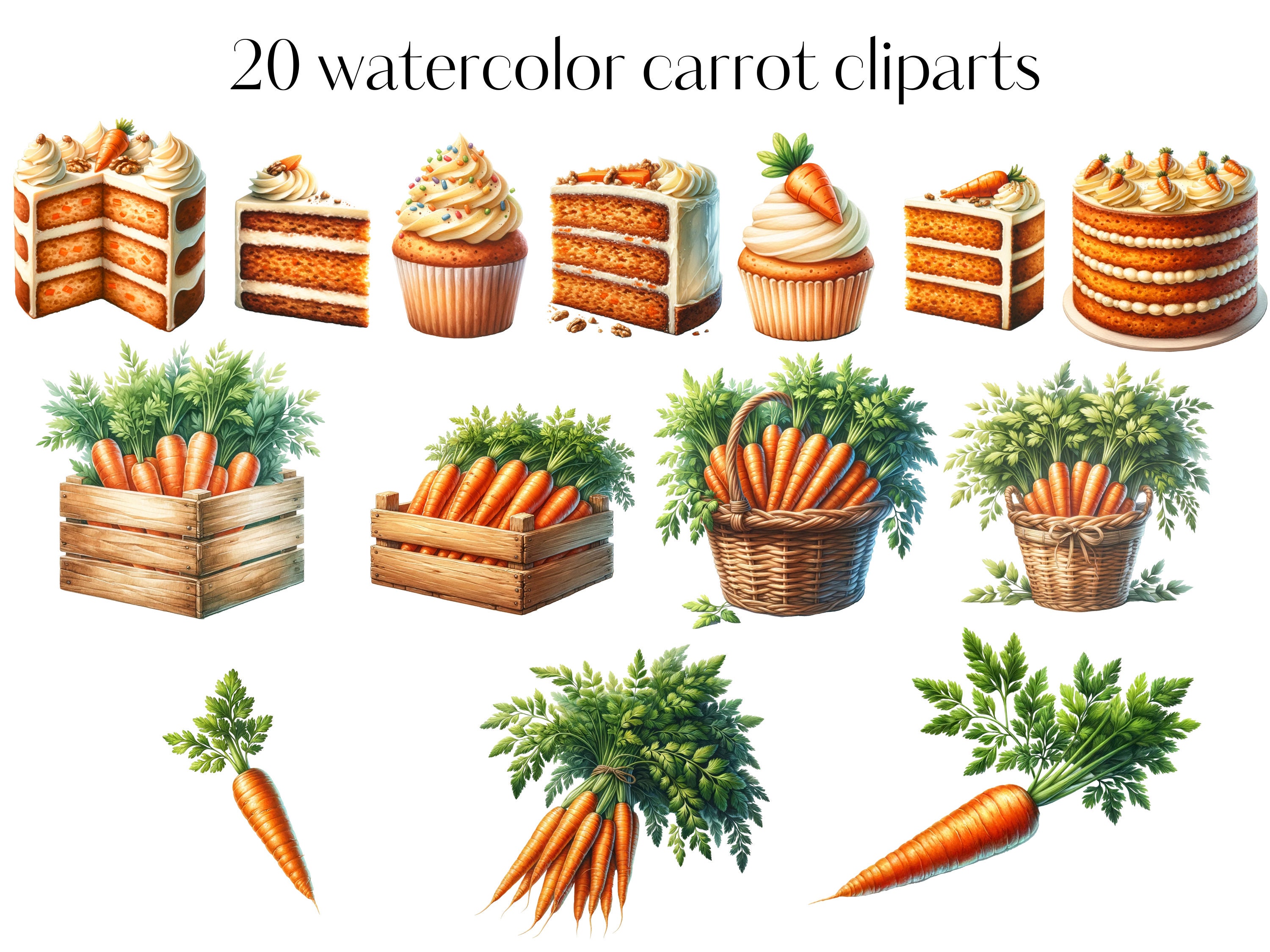 20 Watercolor Carrot Clipart PNG Cute Bunny Clipart Carrot Cake Clipart ...