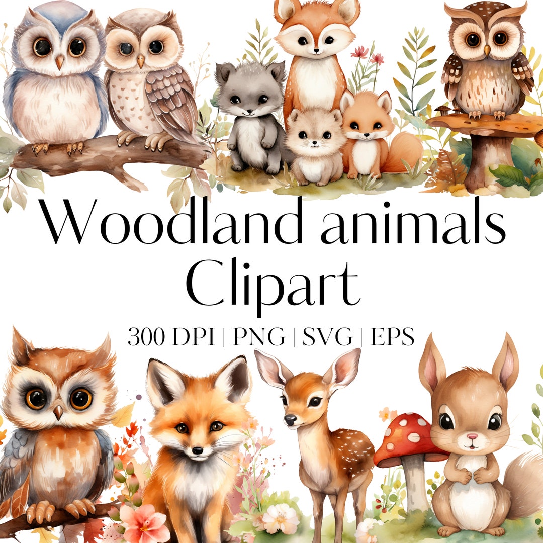 15 Cute Woodland Animals Clipart Bundle Forest Animals Clipart ...