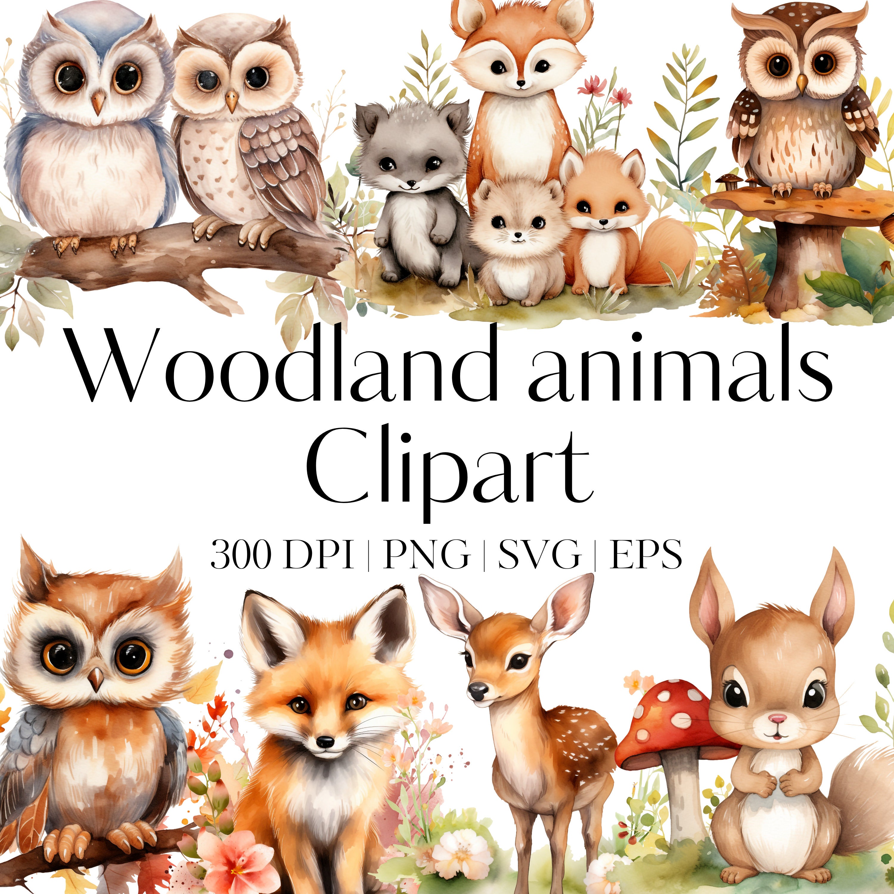 15 Cute Woodland Animals Clipart Bundle Forest Animals Clipart ...