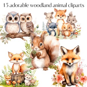15 Cute Woodland Animals Clipart Bundle Forest Animals Clipart ...