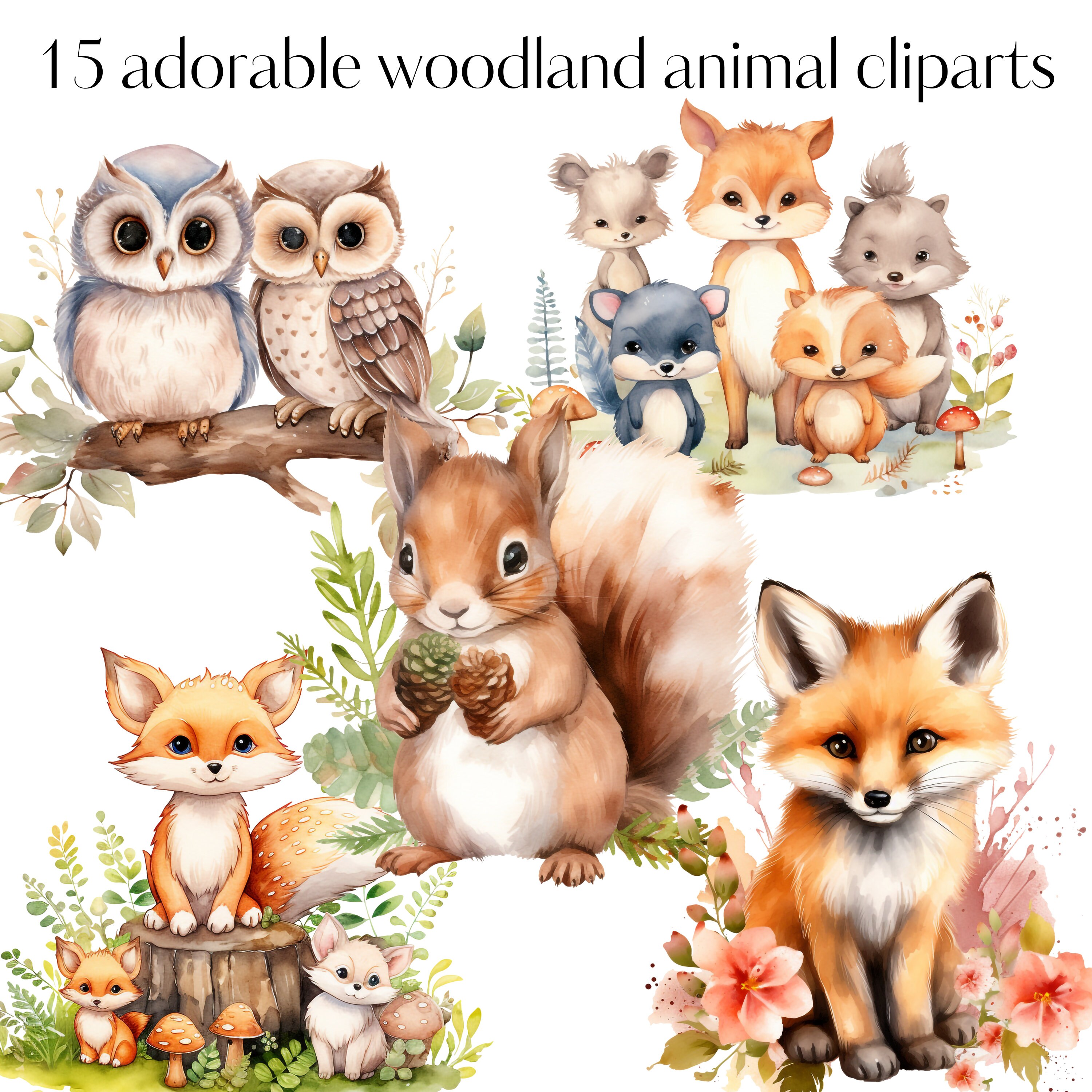 15 Cute Woodland Animals Clipart Bundle Forest Animals Clipart ...