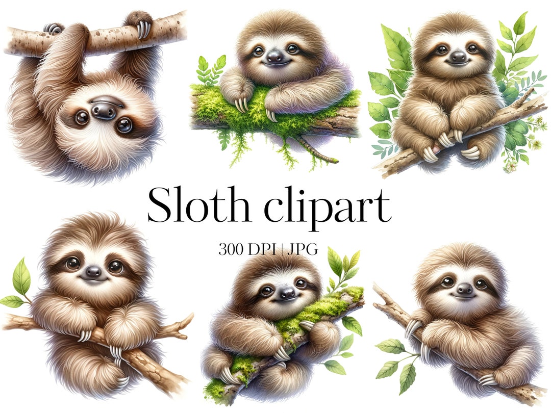 Sloth Clipart | 12 Baby Sloth Clipart | High Quality JPG | Lazy Sloth ...