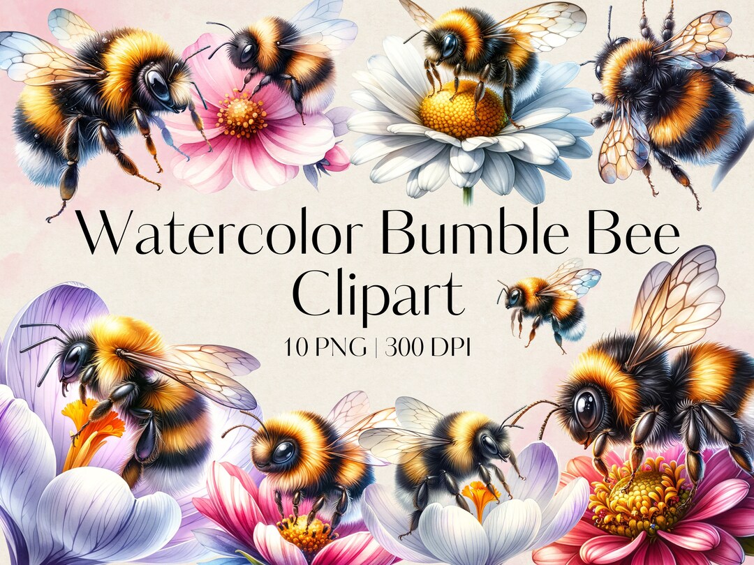 10 Watercolor Bumble Bee Clipart PNG Bumble Bee Spring Clipart Bumble ...