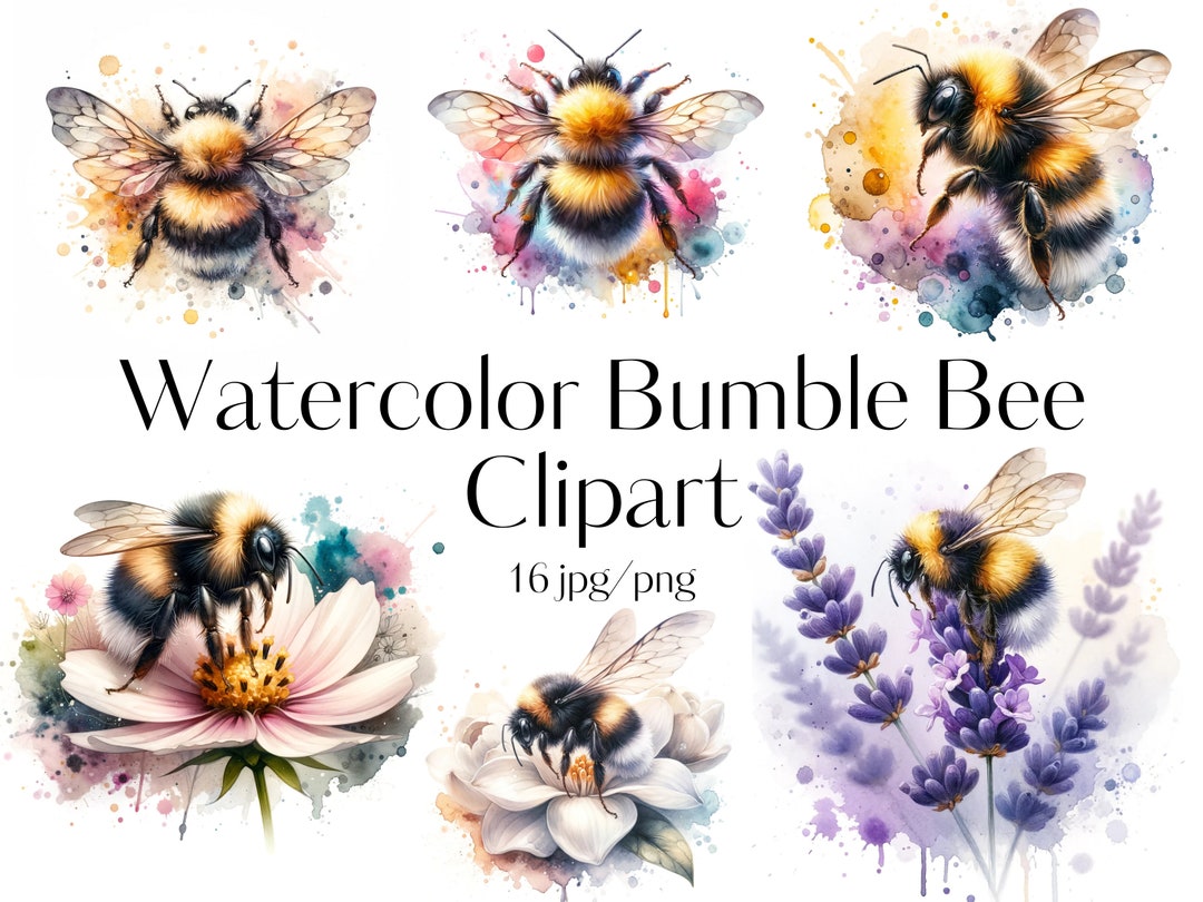 16 Watercolor Bumble Bee Clipart Jpgs Bumble Bee Pngs Bumble Bee Clip ...