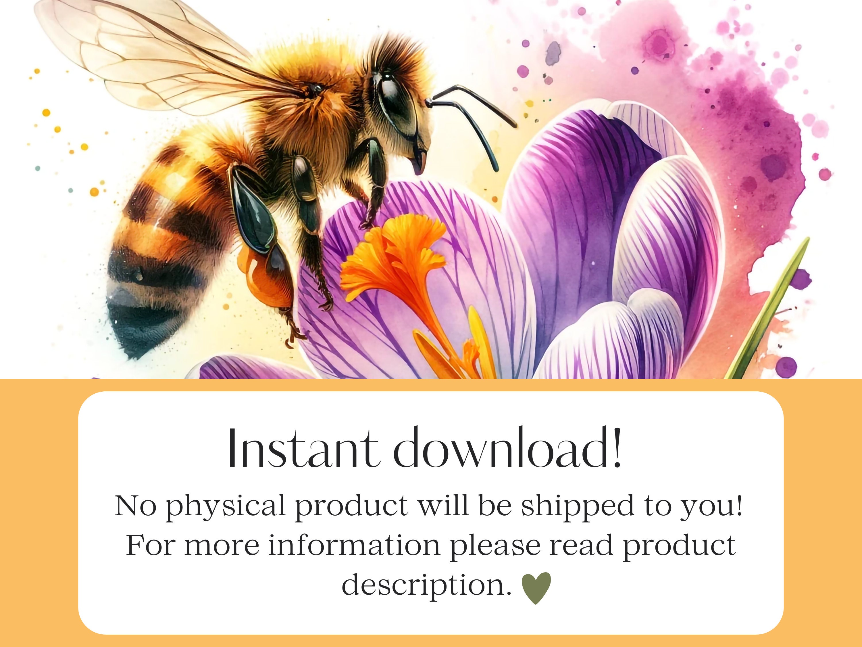 15 Watercolor Cute Bee Digital Images Jpgs Bee Clipart PNG Honey Bee ...