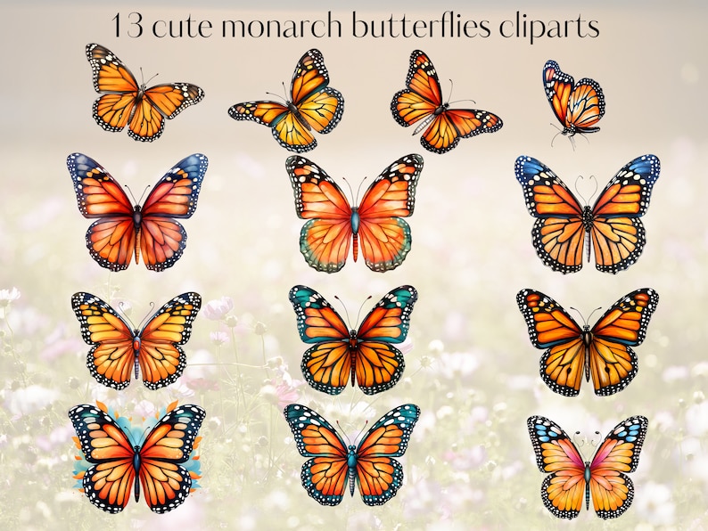 13 Monarch Butterfly Clipart Bundle Butterflies Clipart Insect Clipart ...