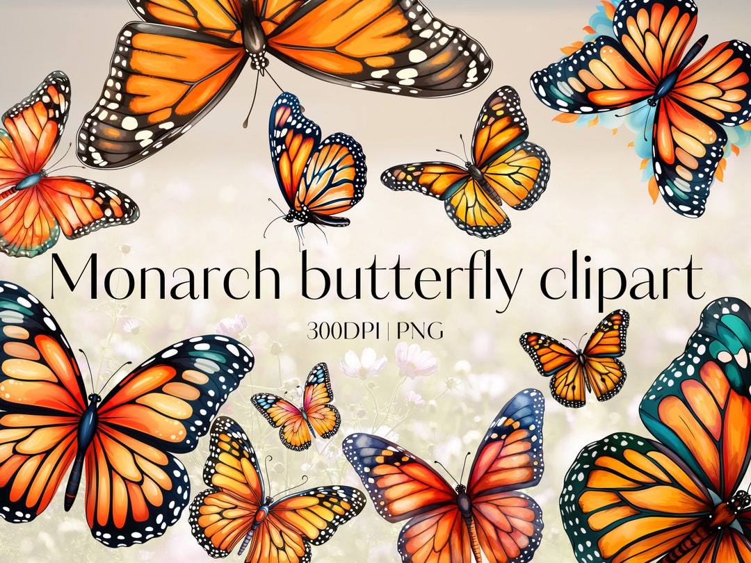 13 Monarch Butterfly Clipart Bundle Butterflies Clipart Insect Clipart ...