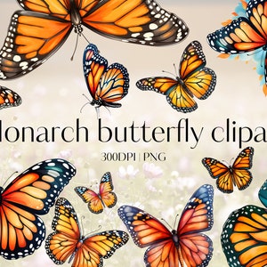 13 Monarch Butterfly Clipart Bundle Butterflies Clipart Insect Clipart ...