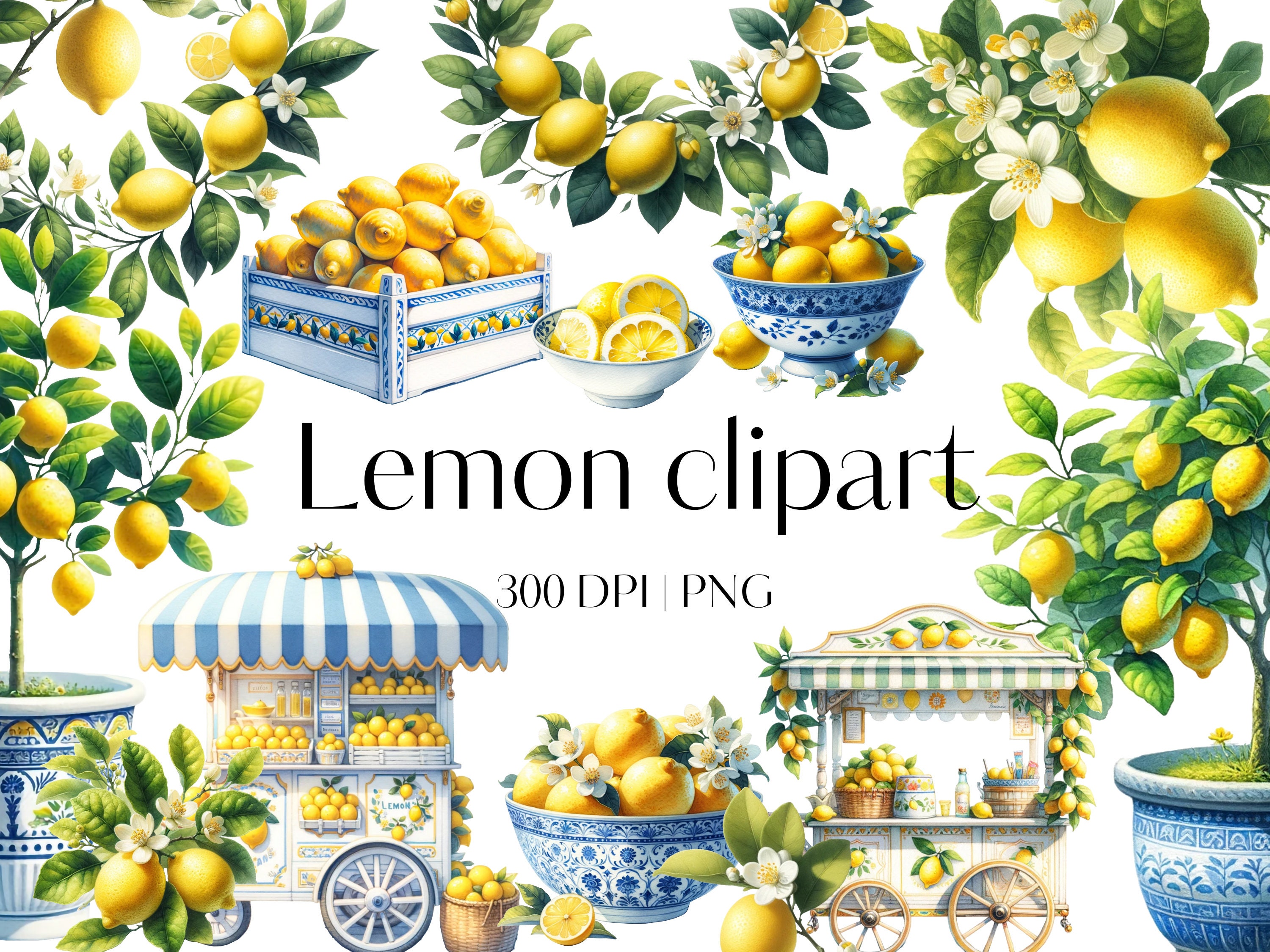 Lemon Clipart - 23 High Quality PNG - Watercolor Lemons Clipart Citrus ...